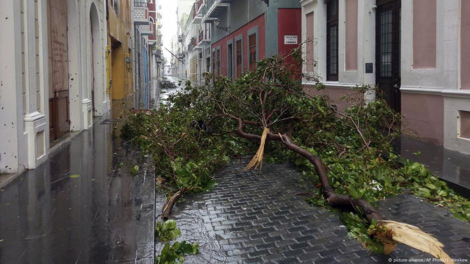 María Causó Severos Daños En Puerto Rico Y Antillas Menores Dw 20