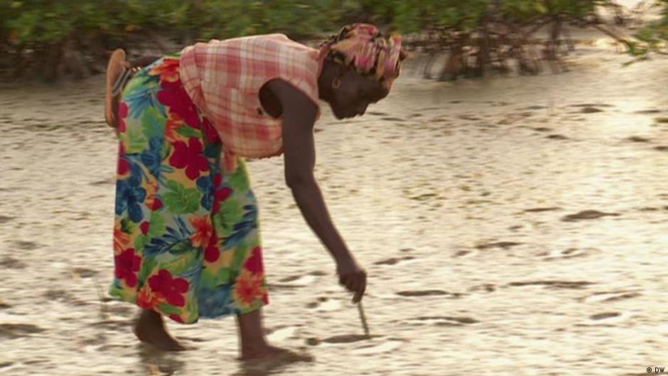 Senegal: Uniting through climate change – DW – 12/22/2017