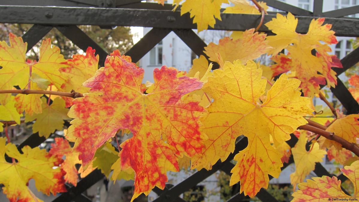 Our Beautiful Planet: Autumn in the northern hemisphere – DW – 09/29/2017