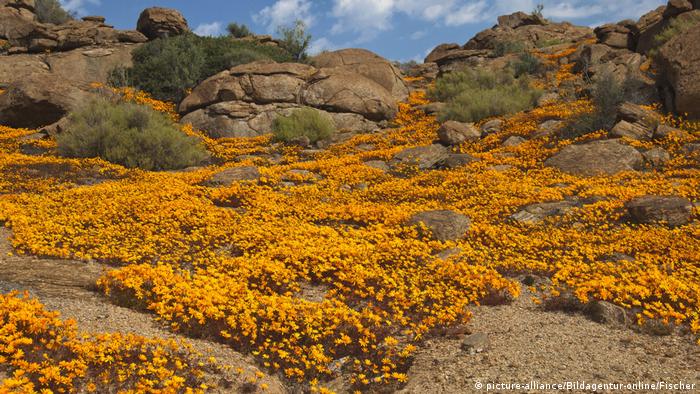 Our Beautiful Planet: Spring in the southern hemisphere | Environment ...