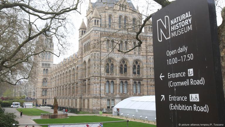 Polícia Detém Homem Após Carro Atingir Pedestres Em Londres Dw 07