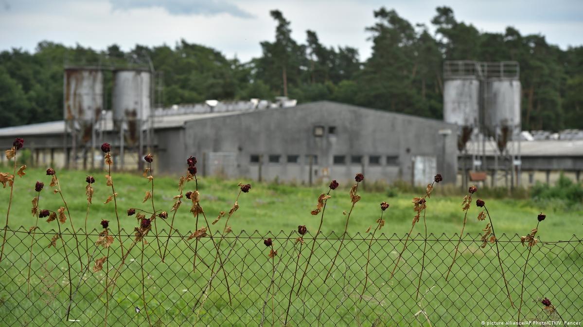 Czechs to buy pig farm on ex-concentration camp