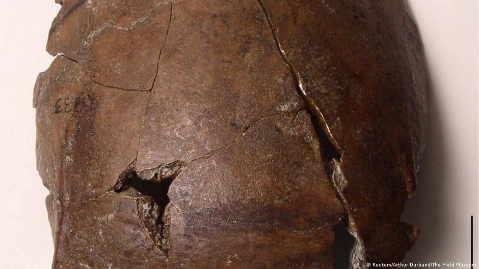 Ancient skull first 'tsunami victim'
