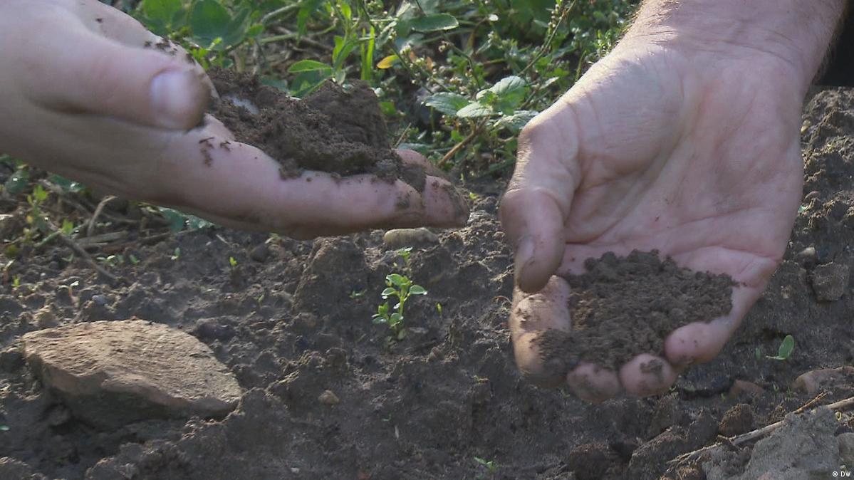 Soil: Digging deeper – DW – 12/10/2018