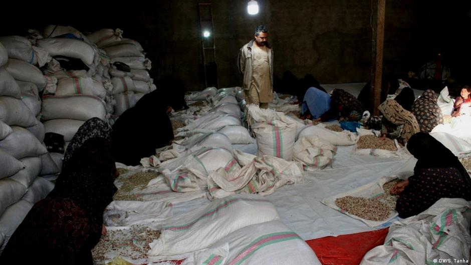 Robovi XXI vijeka – DW – 10.12.2018