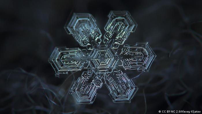 Natural Phenomenon: The making of a snowflake | Environment | All ...