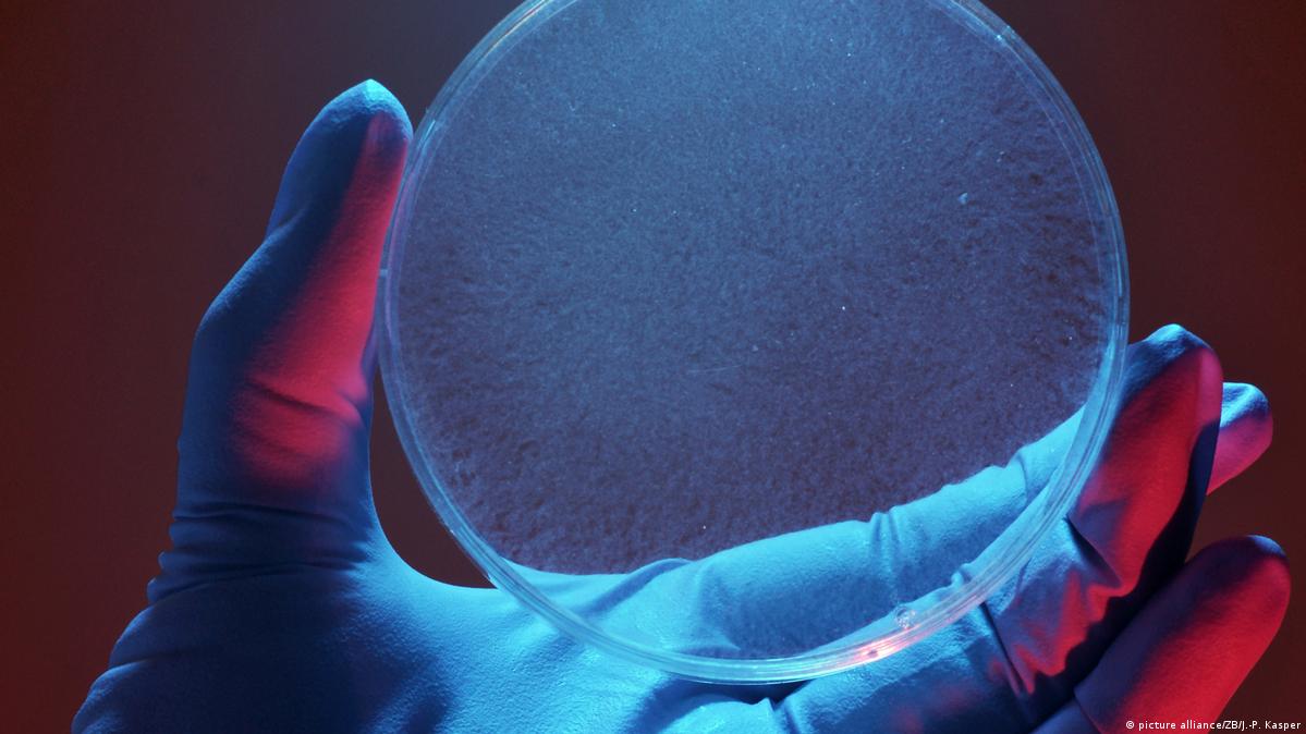 Bio-innovations at the forefront – DW – 02/14/2018