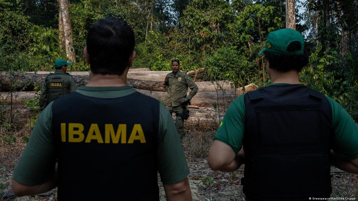 Wood laundering in Brazil – DW – 03/21/2018