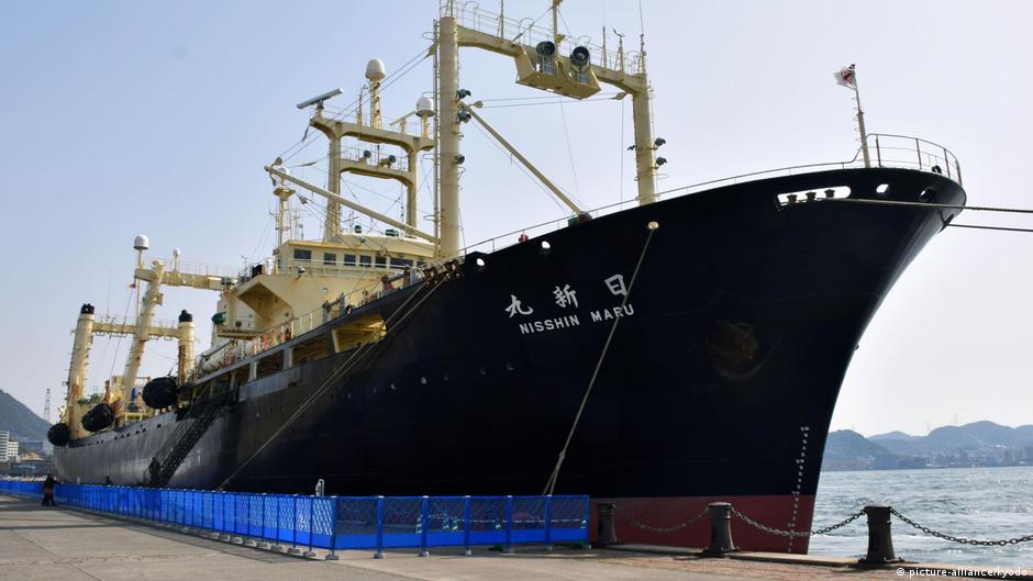 Japanese whalers make huge catch – DW – 03/31/2018
