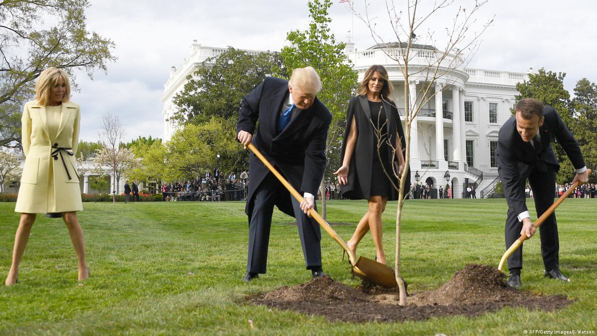 Politicians planting trees – DW – 04/27/2018