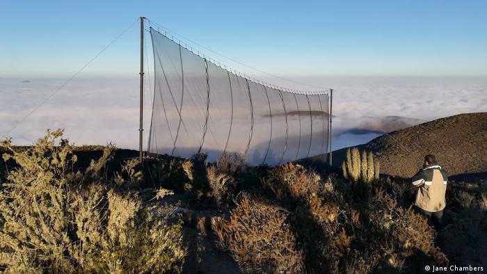 Catching fog in drought-stricken Chile | Environment | All topics from ...