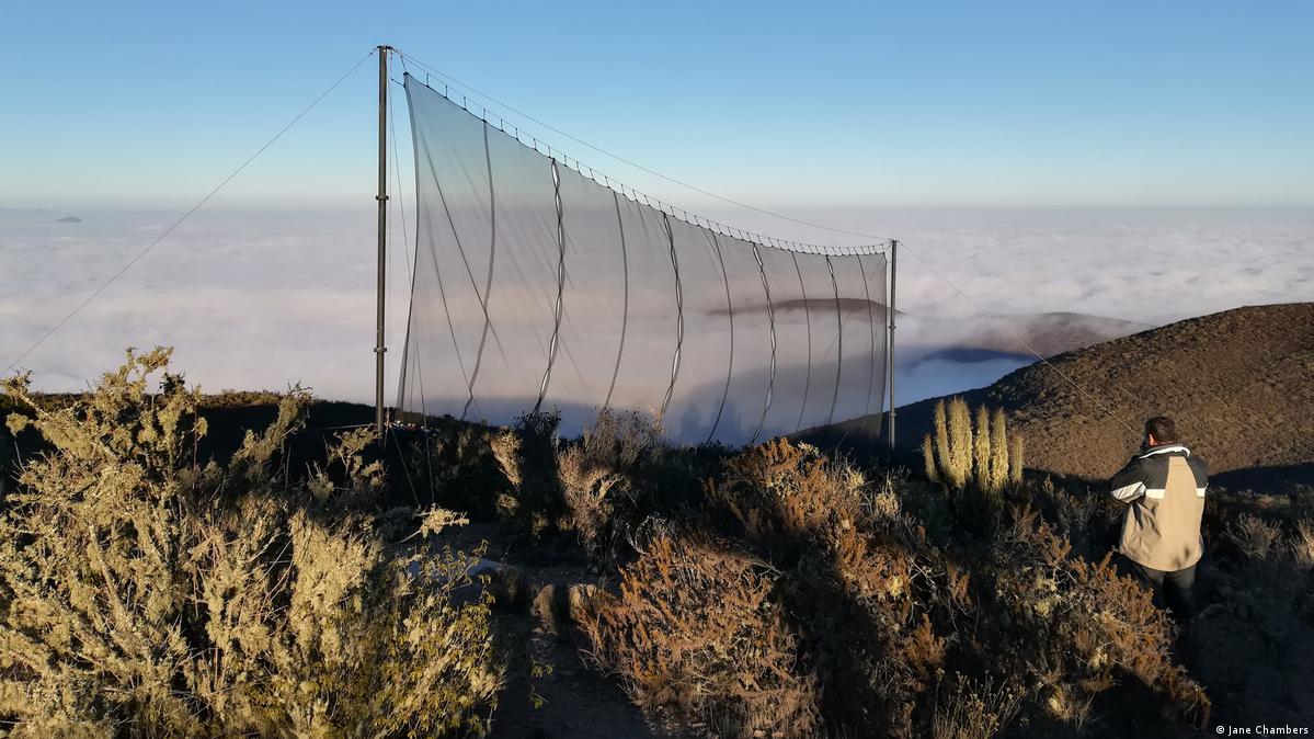 Catching fog in Chile – DW – 07/13/2018