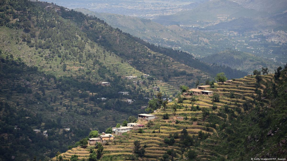 Pakistan: Environmentalists slam '10 billion trees' project – DW – 09 ...