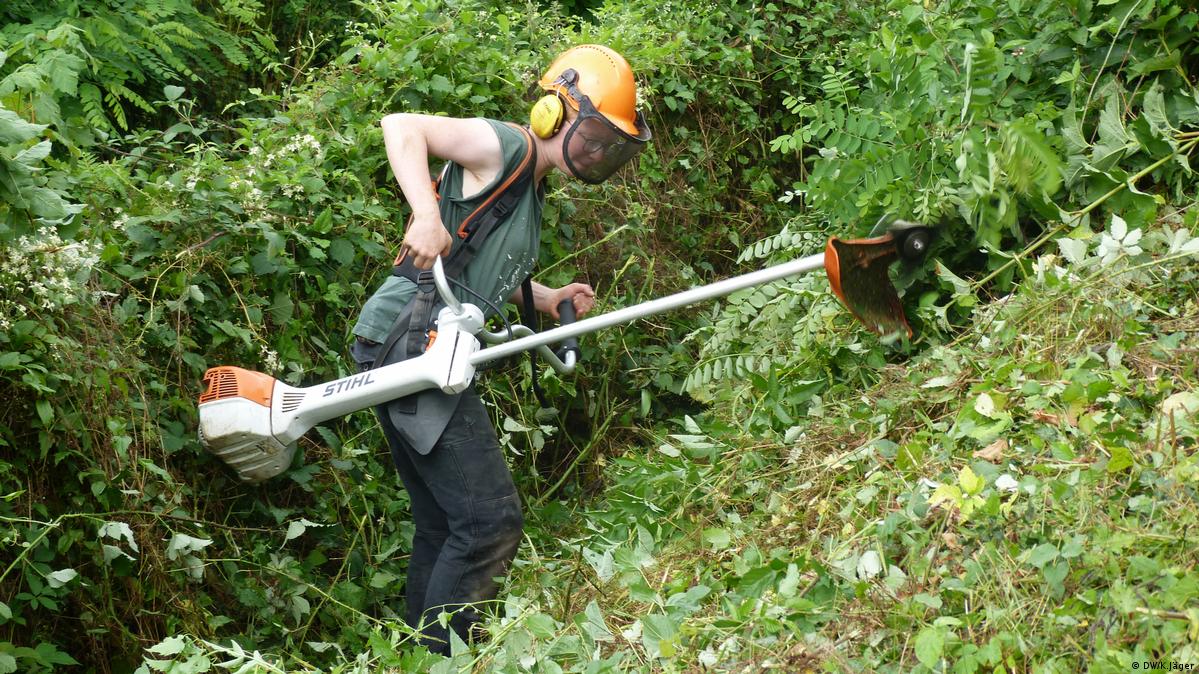How working in nature can shape you – DW – 07/23/2018