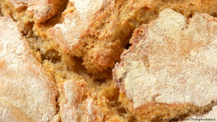 Revolutionary evidence proves bread existed before agriculture | News ...