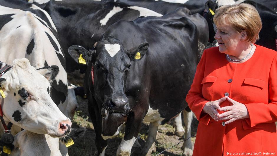 Angela Merkel makes good on personal campaign pledges – DW – 07/19/2018