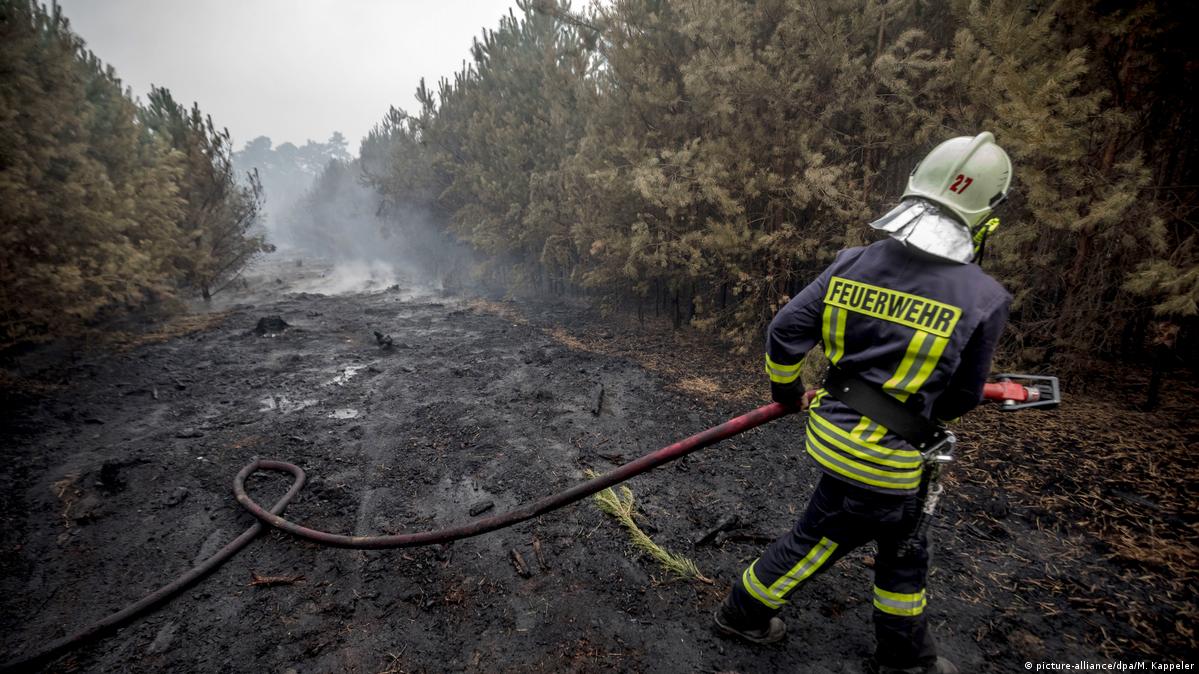 German forest fires quadrupled in 2018 – DW – 06/22/2019