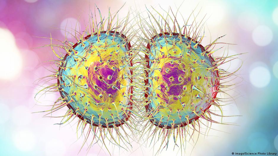 WHO: 1 million new STDs each day – DW – 06/07/2019