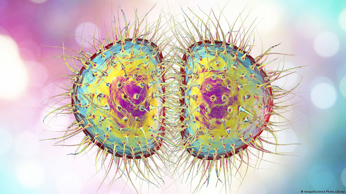 WHO: 1 million new STDs each day – DW – 06/07/2019