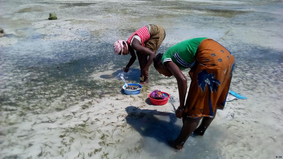 Praia do Wimbe dividida quanto ao impacto do turismo – DW – 15/09/2018