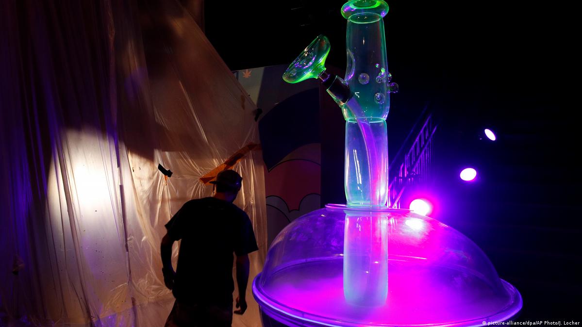 La Marihuana Una Planta Recreativa Nociva Y Saludable