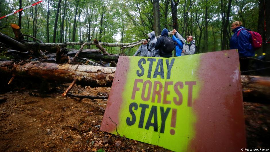 Anti-coal protests in Germany's Hambach Forest – DW – 09/23/2018