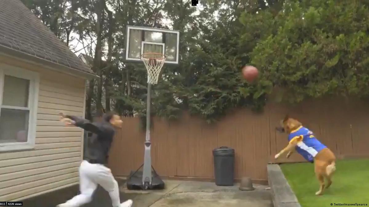 Max Pearce und sein genialer Passgeber – DW – 11.10.2018