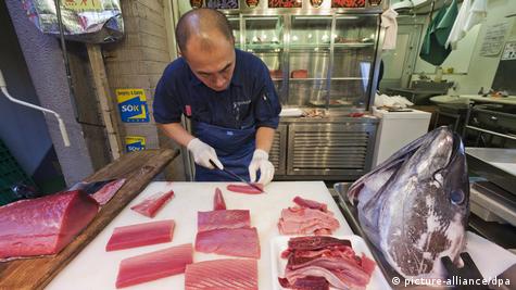 Japanese Fish Market Why Is Japanese Seafood So Fresh Worldwide?