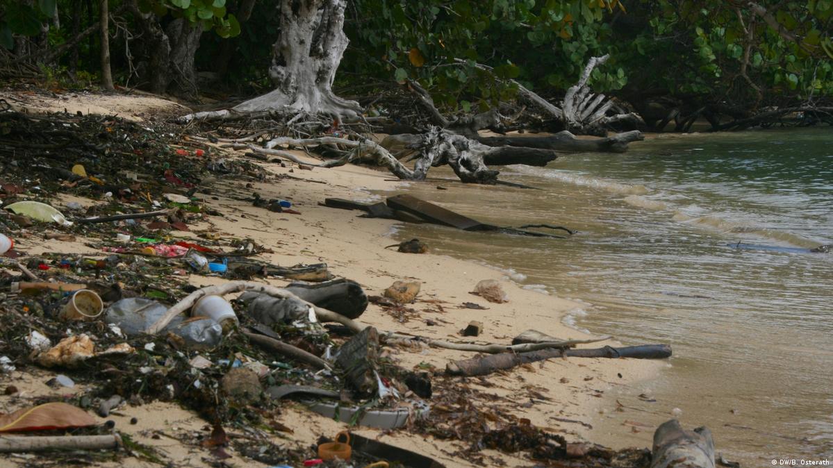 Do beach cleanups really make a difference? – DW – 12/20/2018