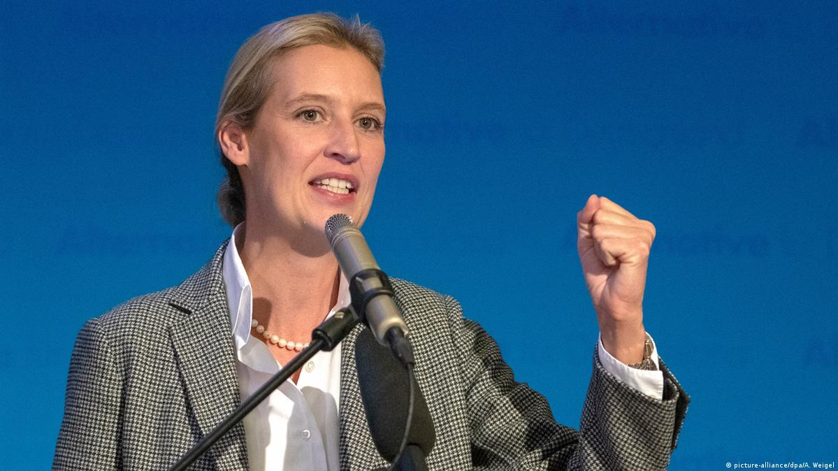AfD head under fire for Swiss donations – DW – 11/12/2018