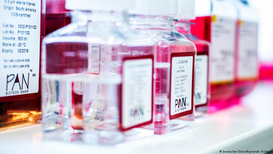 Herpes agent wins 2018 German Future Prize