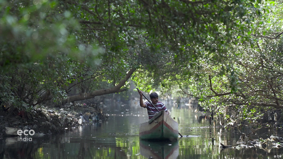 Dirty rivers, edible fish – DW – 07/19/2019