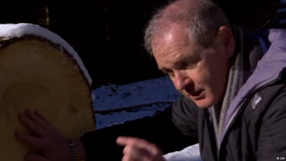 The Man Who Turns Trees into Music – DW – 12/26/2019