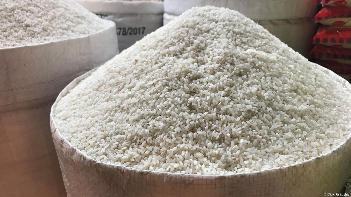 Des milliers de tonnes de riz pourrissent au Cameroun – DW – 09/08/2019