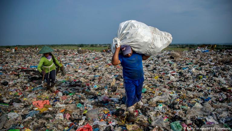 'Entire economy thrives on the destruction of nature' – DW – 01/25/2019