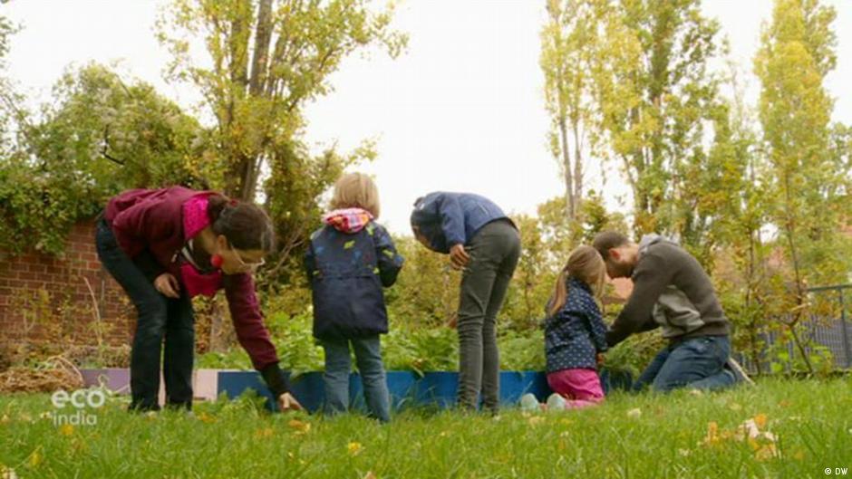 CO2 reduction as a family experiment – DW – 02/01/2019