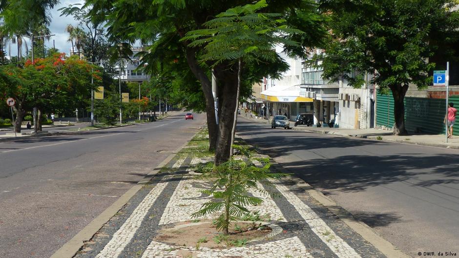 Acácias dão ar fresco e beleza a Maputo