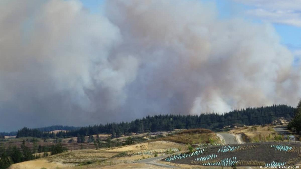 N. Zealand bush fire forces evacuations – DW – 02/06/2019