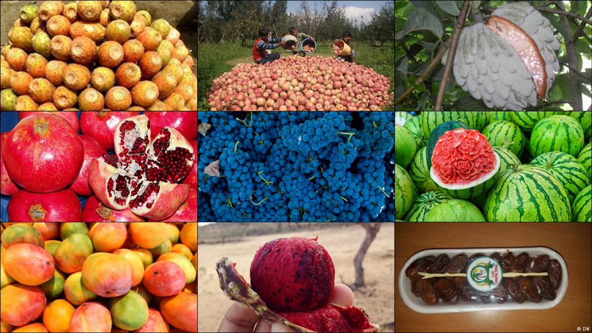 What fruit is typical in your region?