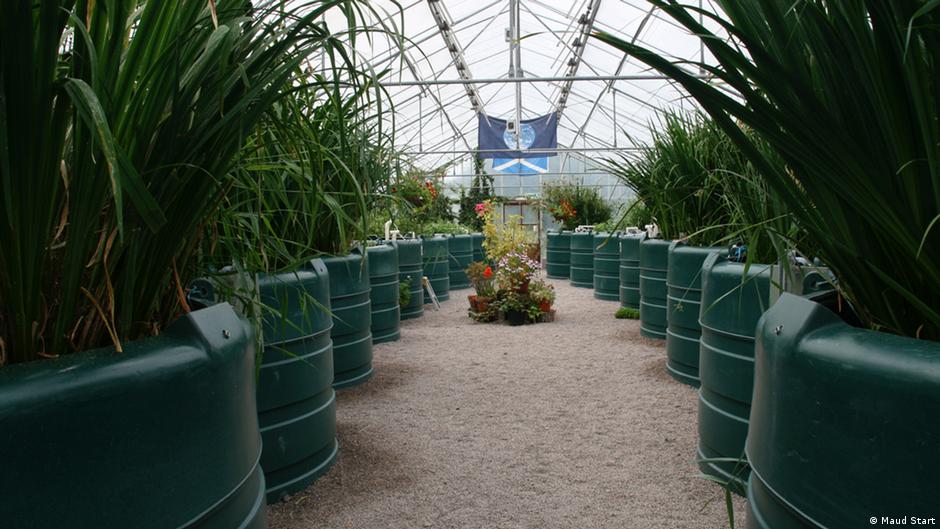 The Living Machine – DW – 03/07/2019