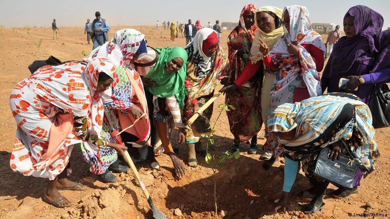 What happened to Africa's green belt project? – DW – 04/06/2020