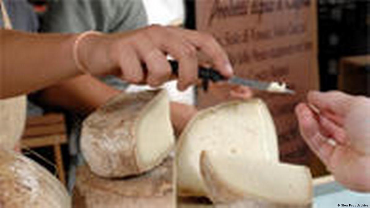 Brittany cows – DW – 11/05/2010