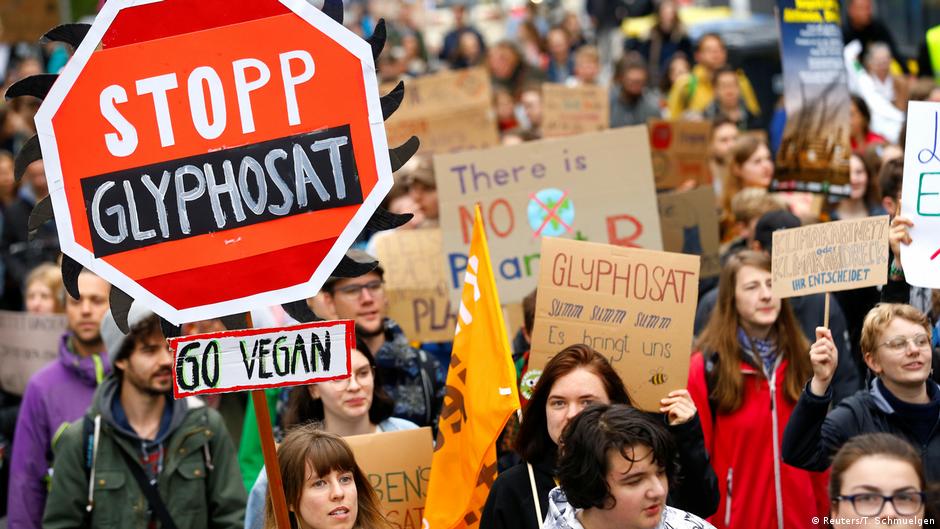 Bayer investors angry over plummeting share price – DW – 04/26/2019