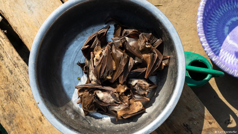 Ebola and Liberia's taste for bushmeat – DW – 05/15/2019