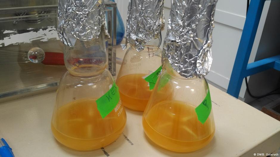 Biohackers work on do-it-yourself insulin – DW – 05/24/2019