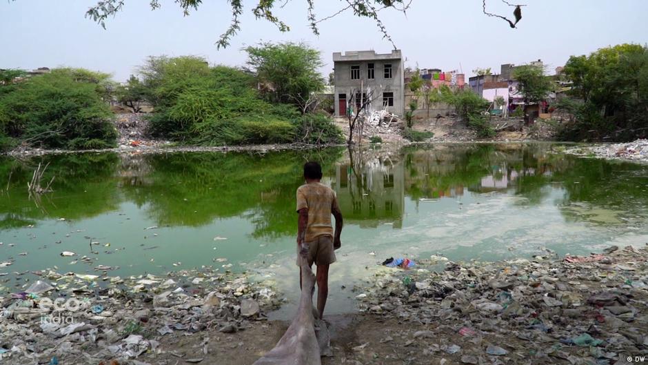 Toxic leather industry – DW – 05/29/2019