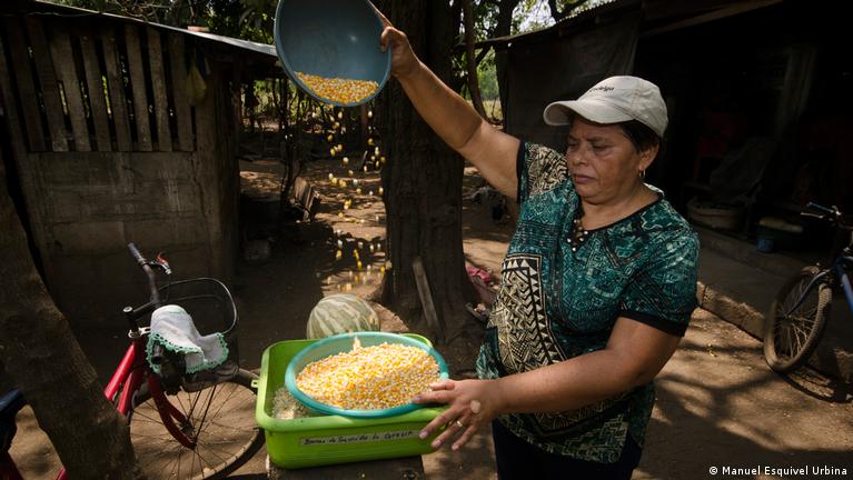 Farmers in Nicaragua battling floods and drought – DW – 06/12/2019