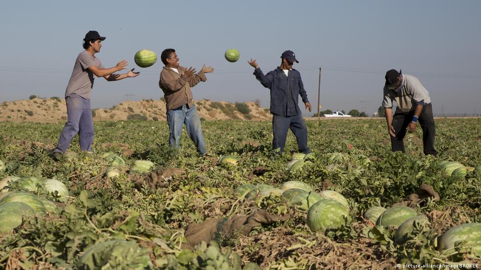 US needs Mexican labor – DW – 06/10/2019