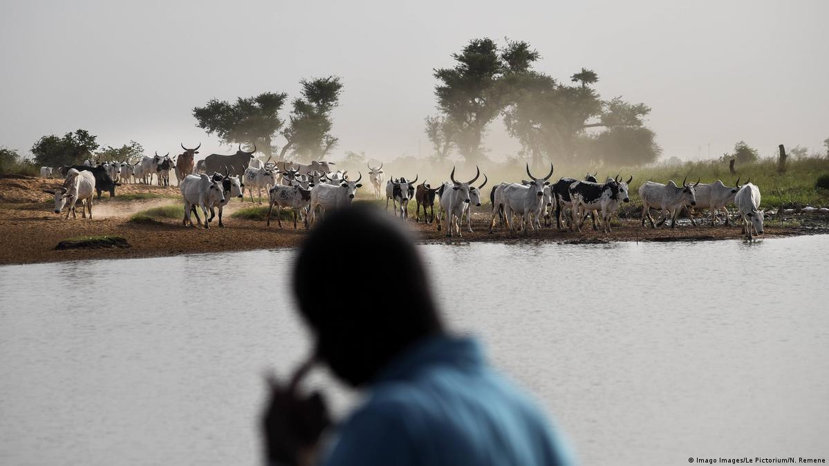 A Farabougou, le risque d'un précédent pour le Mali – DW – 15/04/2021