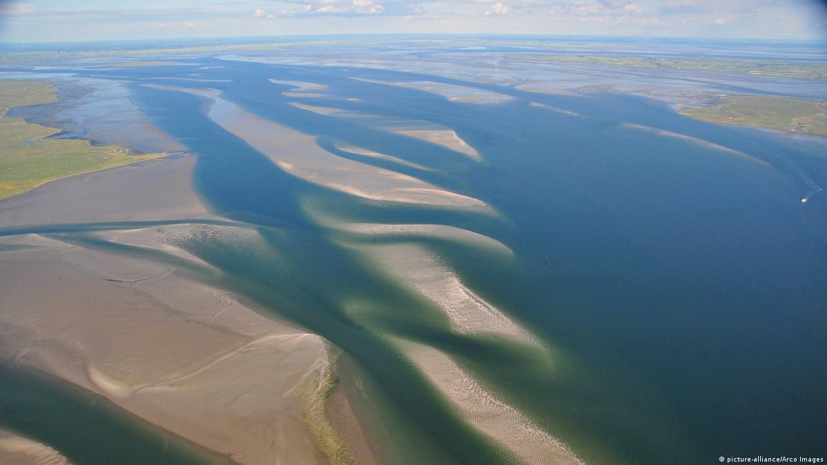 10 reasons to visit the Wadden Sea – DW – 06/26/2019